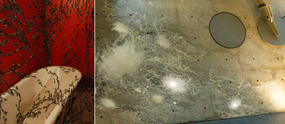 Press kit - 4th edition ofART SOUTERRAIN - Art Souterrain | v2com-newswire